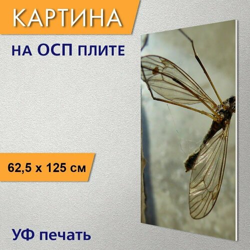 Вертикальная картина на ОСП "Комар, макрос, крылья" 62x125 см. для интерьериа
