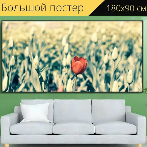 Большой постер "Тюльпан, цветок, красный" 180 x 90 см. для интерьера