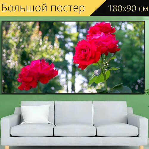 Большой постер "Цветы, розы, природа" 180 x 90 см. для интерьера