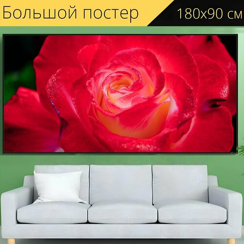 Большой постер "Роза, красная роза, красный цветок" 180 x 90 см. для интерьера