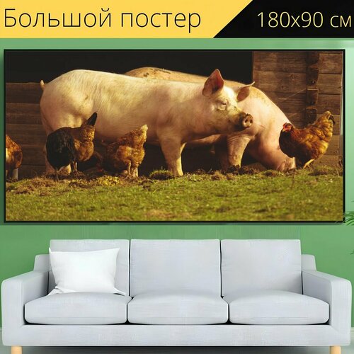 Большой постер "Свиньи, курица, фермерский двор" 180 x 90 см. для интерьера