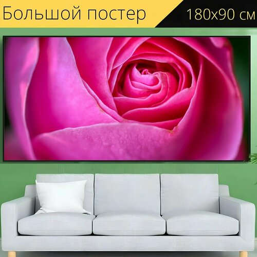 Большой постер "Роза, процветать, лепестки роз" 180 x 90 см. для интерьера