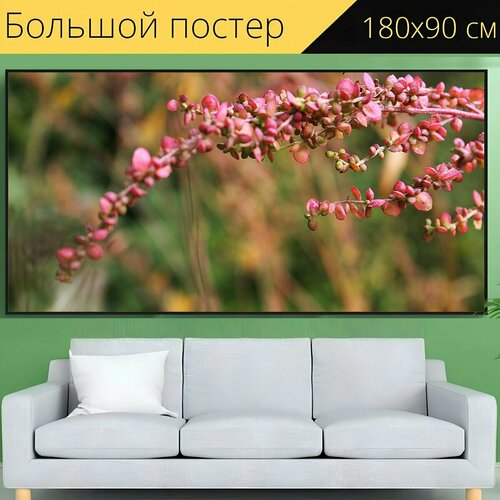 Большой постер "Полевой цветок, дикорастущее растение, розовый" 180 x 90 см. для интерьера