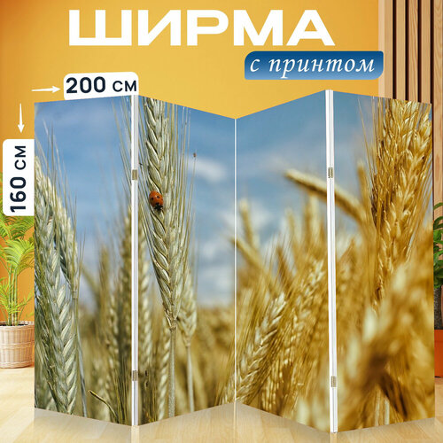 Ширма перегородка с принтом "Зерновое поле, пшеничное поле, пшеница" на холсте - 200x160 см. для зонирования, раскладная