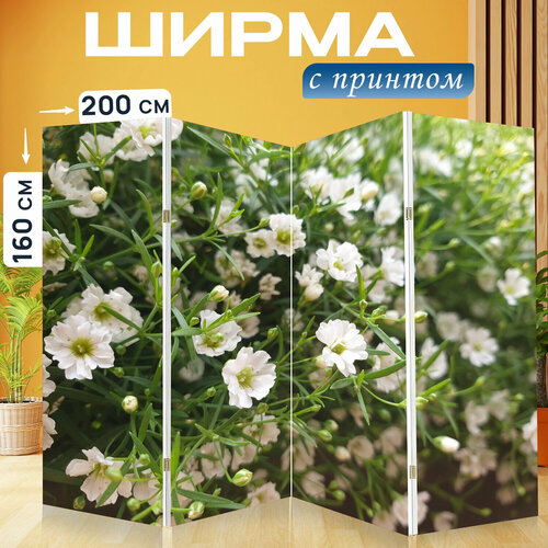 Ширма перегородка с принтом "Цветок, белый, туман цветок" на холсте - 200x160 см. для зонирования, раскладная
