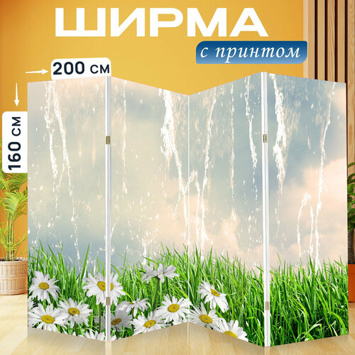 Ширма перегородка с принтом "Природа, цветы, маргариты" на холсте - 200x160 см. для зонирования, раскладная