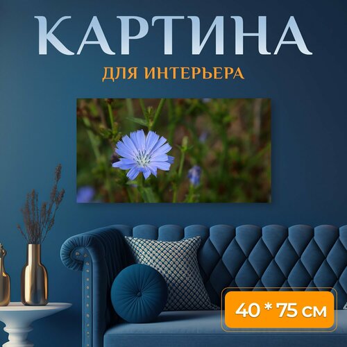 Картина на холсте "Полевые цветы, цвет синий, растения" на подрамнике 75х40 см. для интерьера