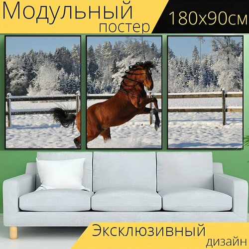 Модульный постер "Снег, зима, лошадь" 180 x 90 см. для интерьера