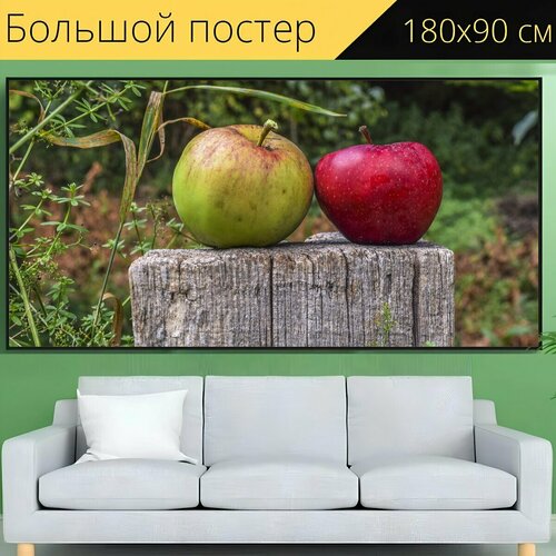 Большой постер "Яблоки, фрукты, свежий" 180 x 90 см. для интерьера