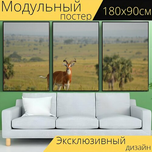 Модульный постер "Африке, саванна, дикая природа" 180 x 90 см. для интерьера