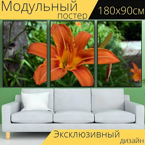 Модульный постер "Лили, оранжевый цветок, сад" 180 x 90 см. для интерьера