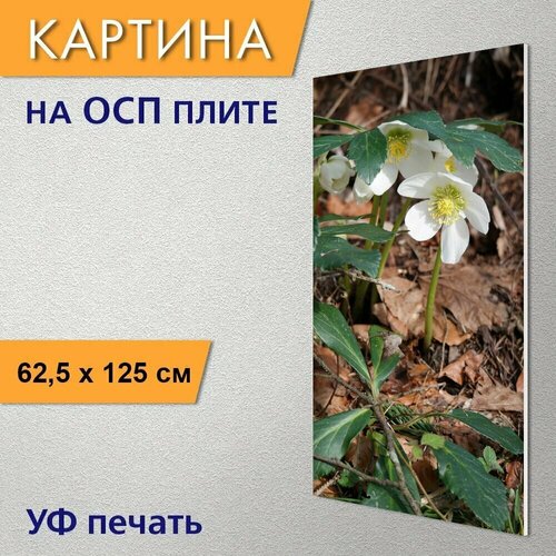 Вертикальная картина на ОСП "Цветок, весна, цвести" 62x125 см. для интерьериа