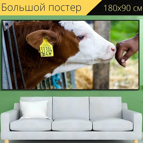 Большой постер "Корова, фермерский двор, бычий" 180 x 90 см. для интерьера