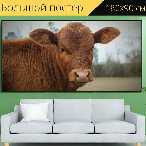 Большой постер "Бык, телец, корова" 180 x 90 см. для интерьера