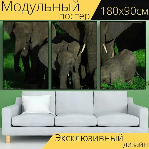 Модульный постер "Слон, слоны, семья" 180 x 90 см. для интерьера
