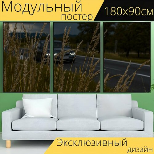 Модульный постер "Автомобиль, травы, трава" 180 x 90 см. для интерьера