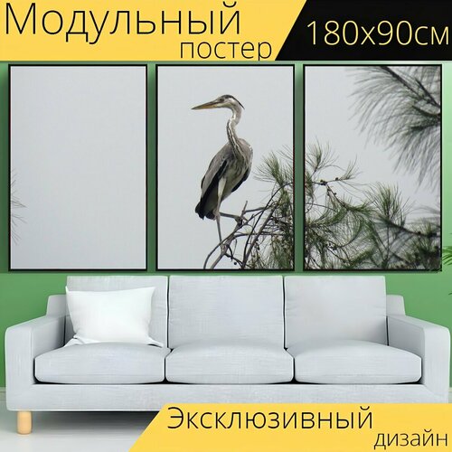 Модульный постер "Цапля, серая цапля, птица" 180 x 90 см. для интерьера