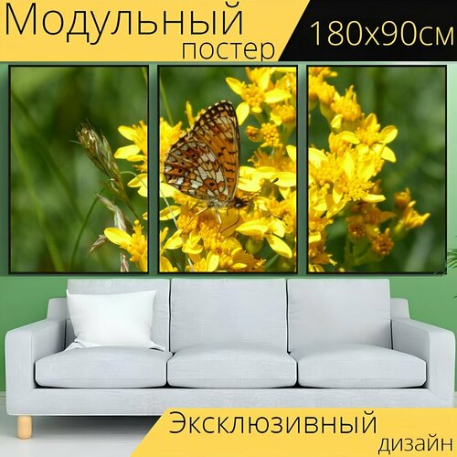 Модульный постер "Бабочка, цветок, желтый цветок" 180 x 90 см. для интерьера