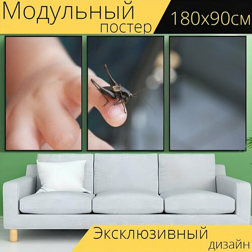 Модульный постер "Кузнечик, насекомое, рука" 180 x 90 см. для интерьера