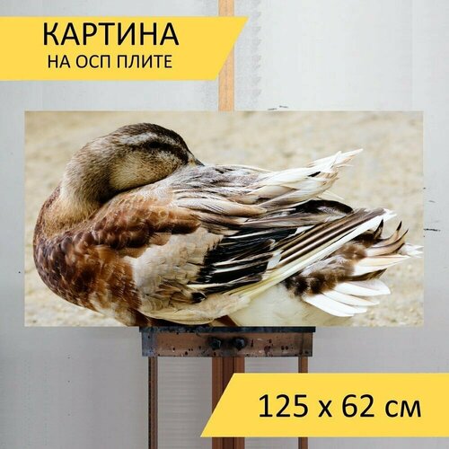 Картина на ОСП 125х62 см. "Птица, лебедь, утка" горизонтальная, для интерьера, с креплениями
