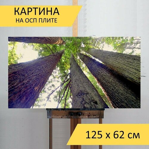 Картина на ОСП 125х62 см. "Секвойи, соединенные штаты америки, америка" горизонтальная, для интерьера, с креплениями