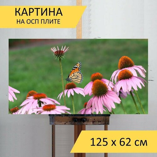 Картина на ОСП 125х62 см. "Конус цветок, монарх, летом" горизонтальная, для интерьера, с креплениями