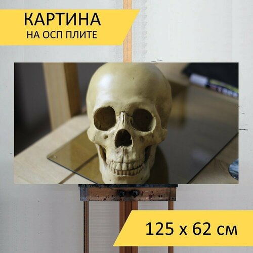 Картина на ОСП 125х62 см. "Реплика череп, человеческая голова, человеческий череп" горизонтальная, для интерьера, с креплениями