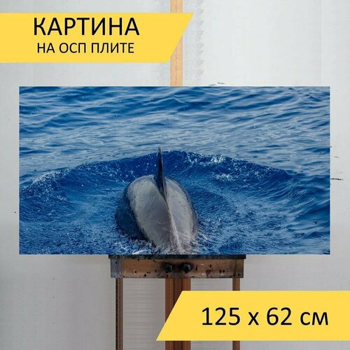 Картина на ОСП 125х62 см. "Дельфины, океан, млекопитающее" горизонтальная, для интерьера, с креплениями