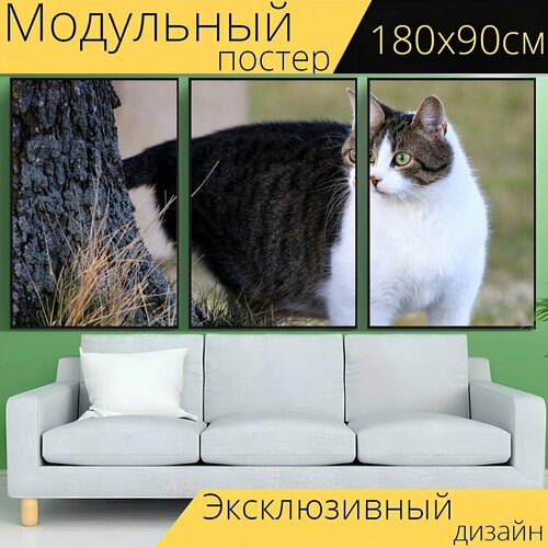 Модульный постер "Кот, шерсть, кошачьи глаза" 180 x 90 см. для интерьера