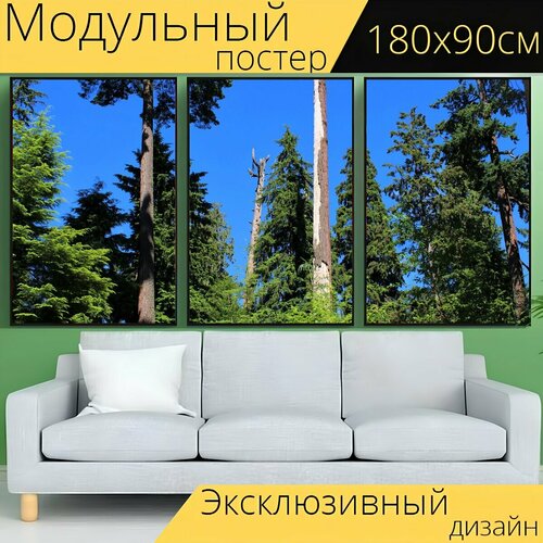 Модульный постер "Деревья, лес, природа" 180 x 90 см. для интерьера