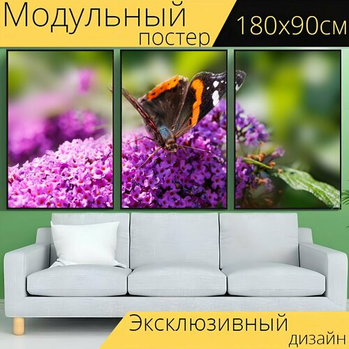 Модульный постер "Бабочка, насекомое, природы" 180 x 90 см. для интерьера