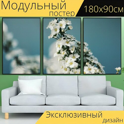 Модульный постер "Воробей, растения по алфавиту, розы" 180 x 90 см. для интерьера