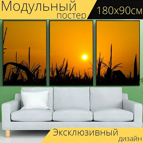 Модульный постер "Солнце, кукуруза, трава" 180 x 90 см. для интерьера