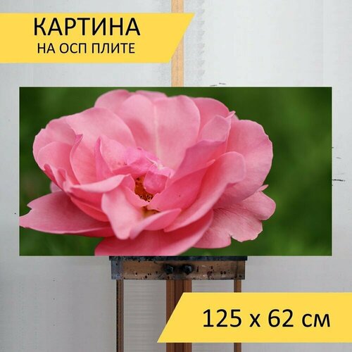 Картина на ОСП 125х62 см. "Роза, розовый, лепестки" горизонтальная, для интерьера, с креплениями