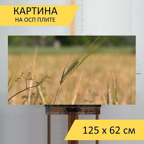 Картина на ОСП 125х62 см. "Пшеница, уборка урожая, поле" горизонтальная, для интерьера, с креплениями