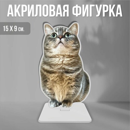 Акриловая фигурка декоративная / статуэтки для интерьера Cocoa Cat Кот Кокоа мем