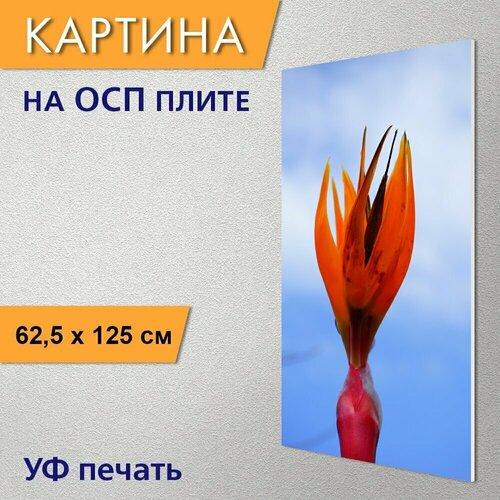 Вертикальная картина на ОСП "Райская птица цветок, цветок, цвести" 62x125 см. для интерьериа