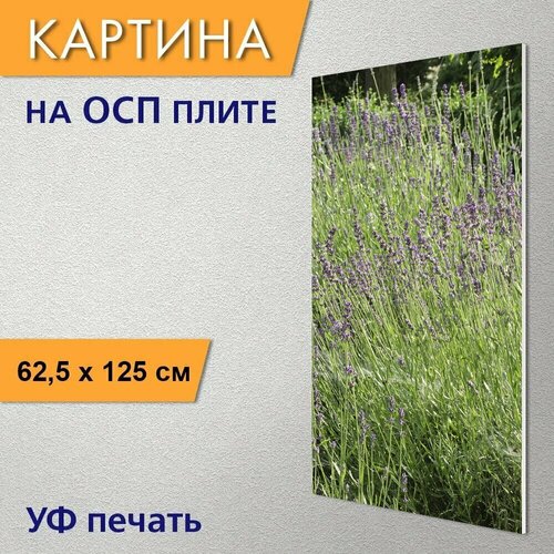 Вертикальная картина на ОСП "Луг, трава, весна" 62x125 см. для интерьериа