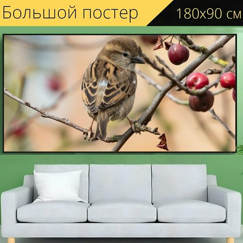 Большой постер "Воробей, живой воробей, садовая птица" 180 x 90 см. для интерьера