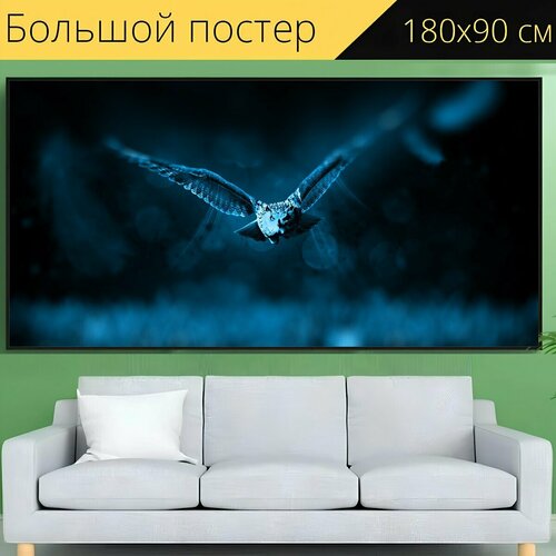 Большой постер "Сова, птица, летающий" 180 x 90 см. для интерьера