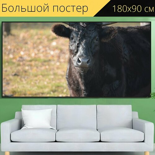 Большой постер "Бык, корова, поле" 180 x 90 см. для интерьера