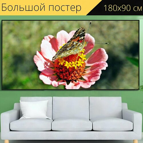Большой постер "Бабочка, цветок, цветочная пыльца" 180 x 90 см. для интерьера