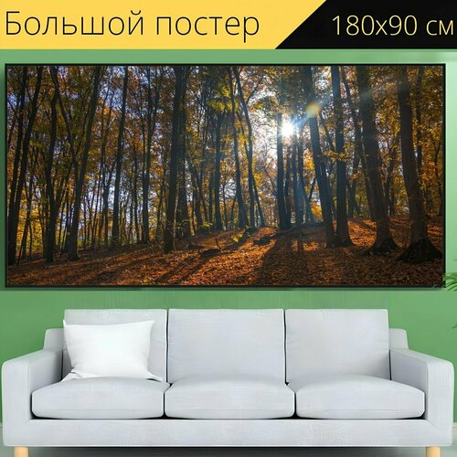 Большой постер "Деревья, лес, солнечный свет" 180 x 90 см. для интерьера
