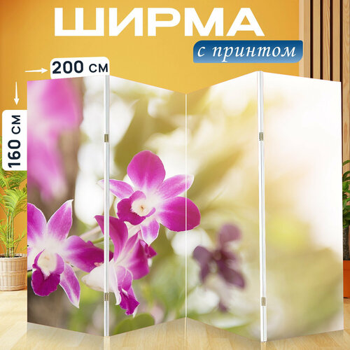 Ширма перегородка с принтом "Орхидея, цветок, фиолетовый" на холсте - 200x160 см. для зонирования, раскладная