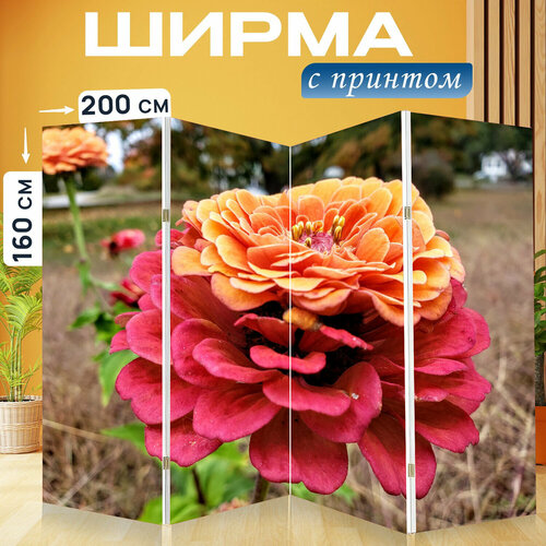 Ширма перегородка с принтом "Двуглавый, цинния, цветок" на холсте - 200x160 см. для зонирования, раскладная