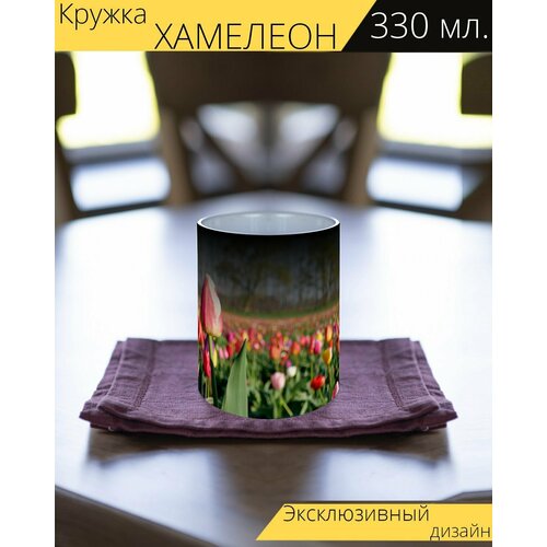 Кружка хамелеон с принтом "Поле тюльпанов, тюльпан, весна" 330 мл.