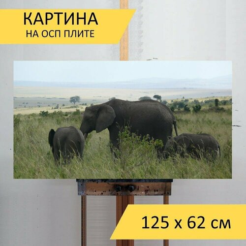 Картина на ОСП 125х62 см. "Слон, кения, масаи" горизонтальная, для интерьера, с креплениями