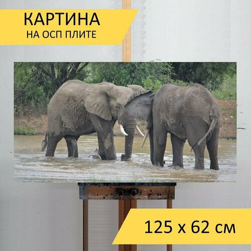 Картина на ОСП 125х62 см. "Африканские слоны, глазеть, подход" горизонтальная, для интерьера, с креплениями