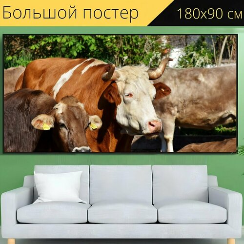 Большой постер "Бык, корова, бычий" 180 x 90 см. для интерьера