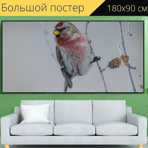 Большой постер "Птица, чечётка, природа" 180 x 90 см. для интерьера